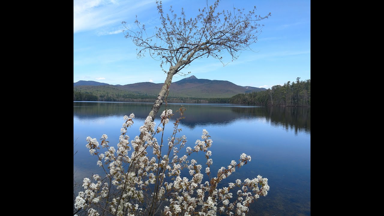 Native Pollinators, Habitat, and NRCS Programs, with Debra Marnich ...