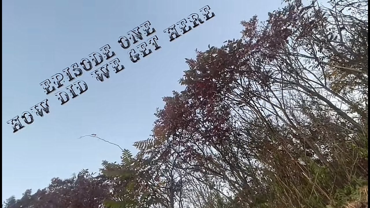 Sheriff Shelldon Episode 1: How Did We Get Here? - YouTube