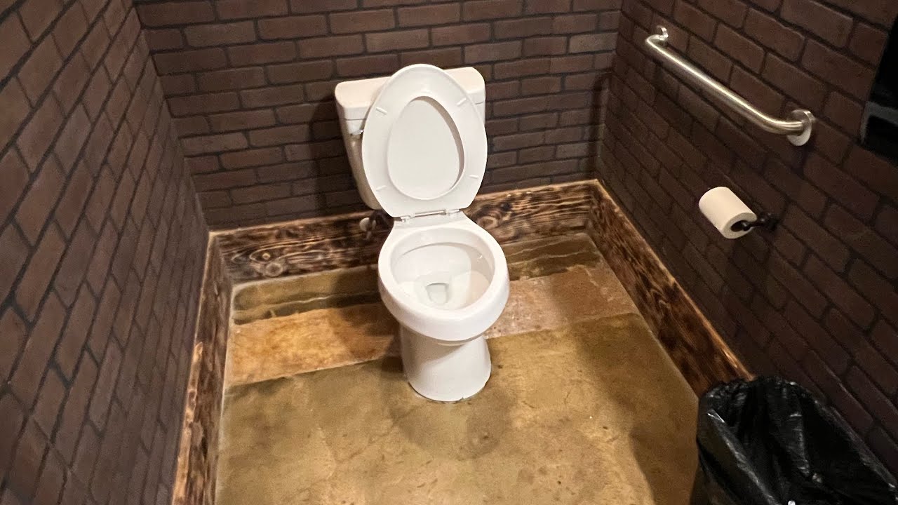 2022 Project Source Pro Flush Toilet! - YouTube