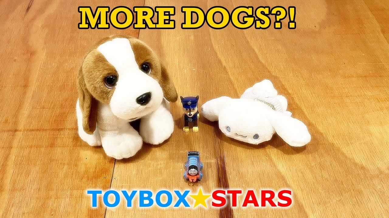 Too Many Dogs? ...Again? - YouTube