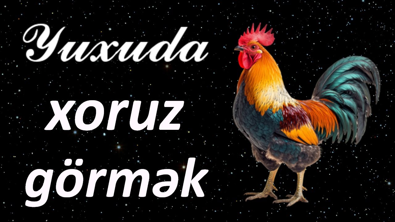 Yuxuda xoruz görmək ☾ Qısa #yuxuyozma - SƏSLİ YUXU YOZMALARI - YouTube