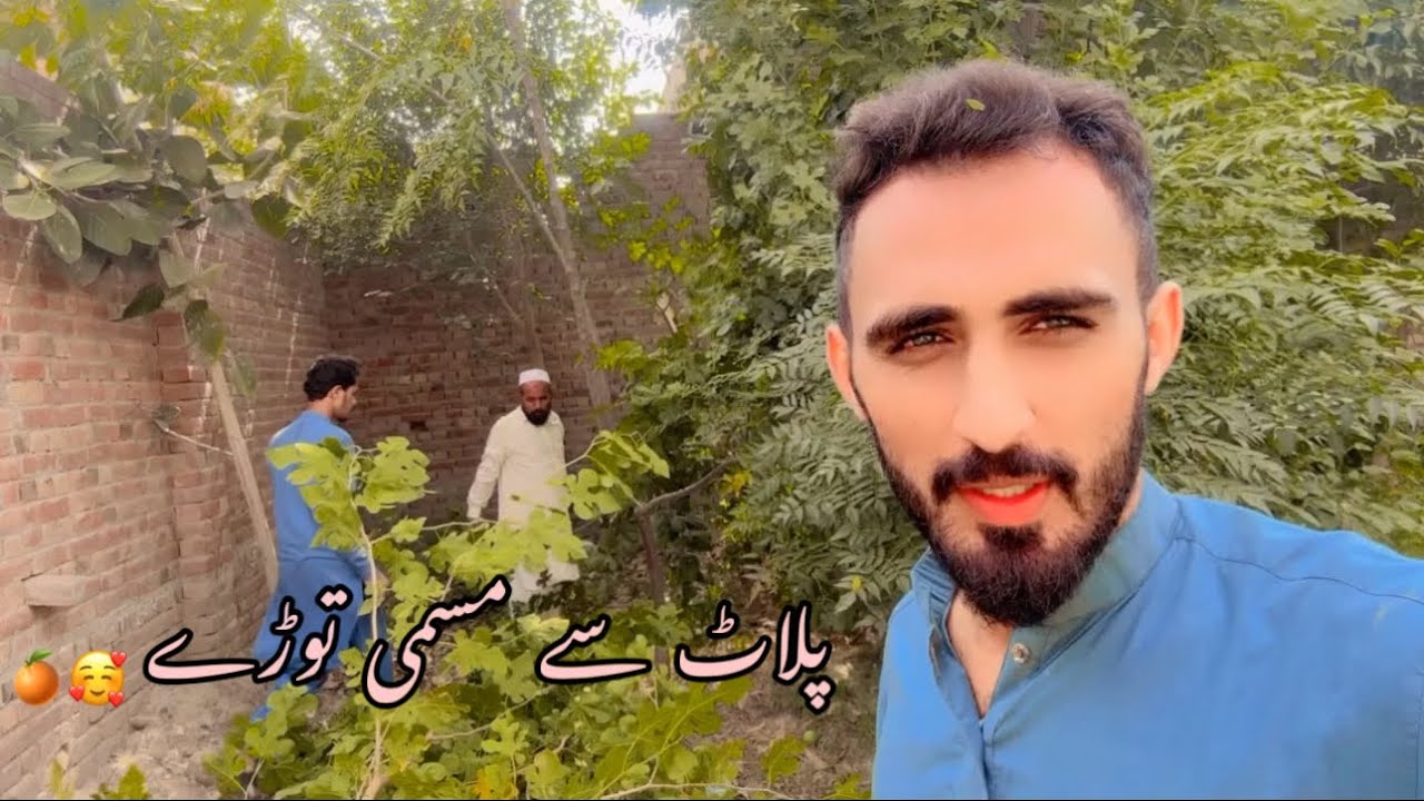(Musami ka # bagh ) plat se musami toure - YouTube