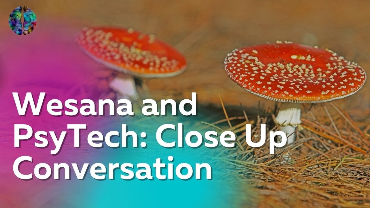 Wesana and PsyTech Close Up Conversation - YouTube