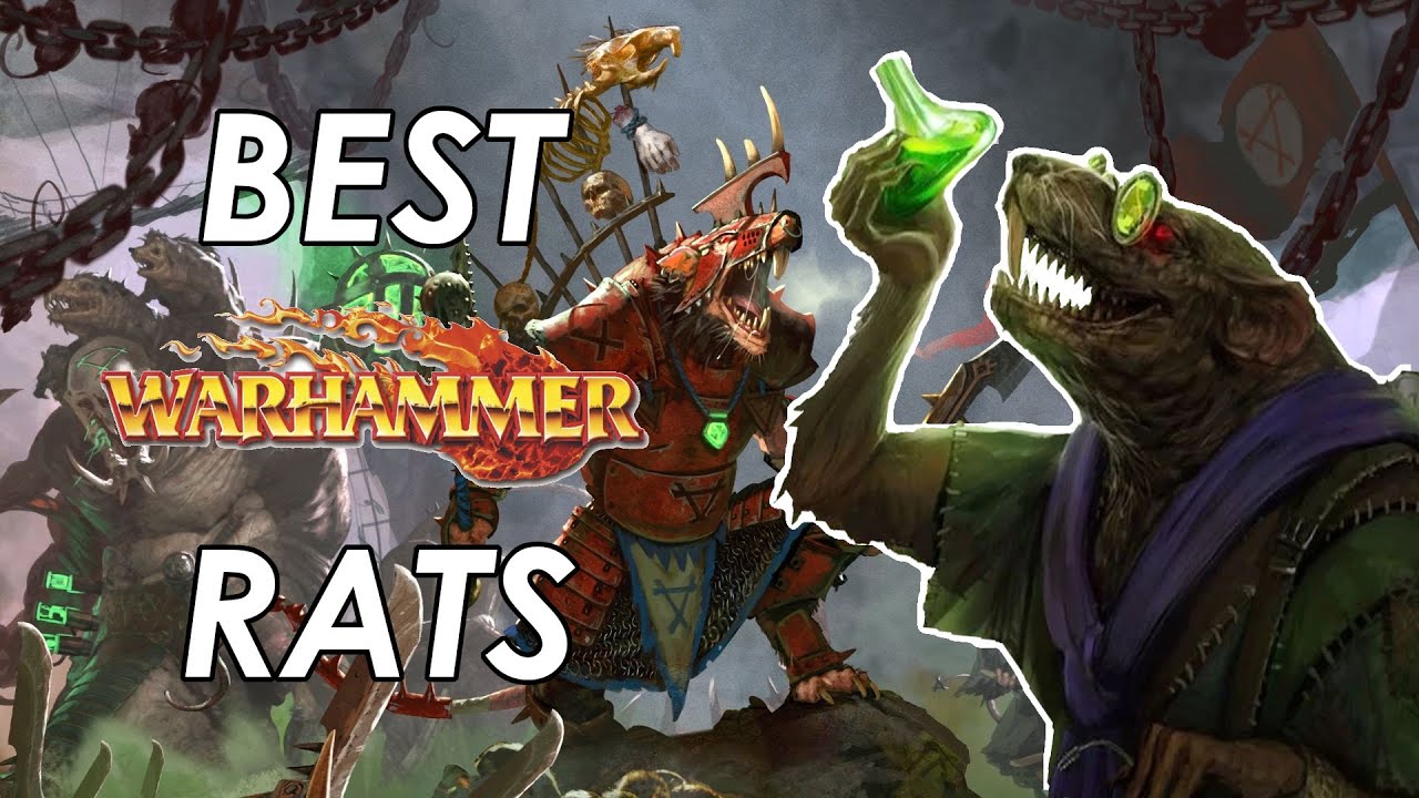 Why Skaven are the BEST Faction in Warhammer Fantasy - YouTube