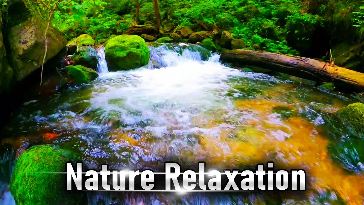 Nature Relaxation Sounds With Calm Music | Stress Relief Music ...