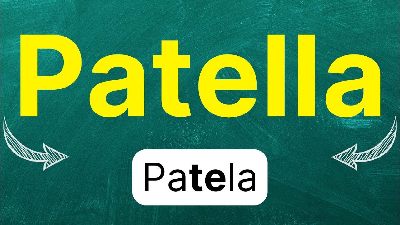 Cómo pronunciar: Patella "rótula" "hueso de la rodilla" "patela" en ...
