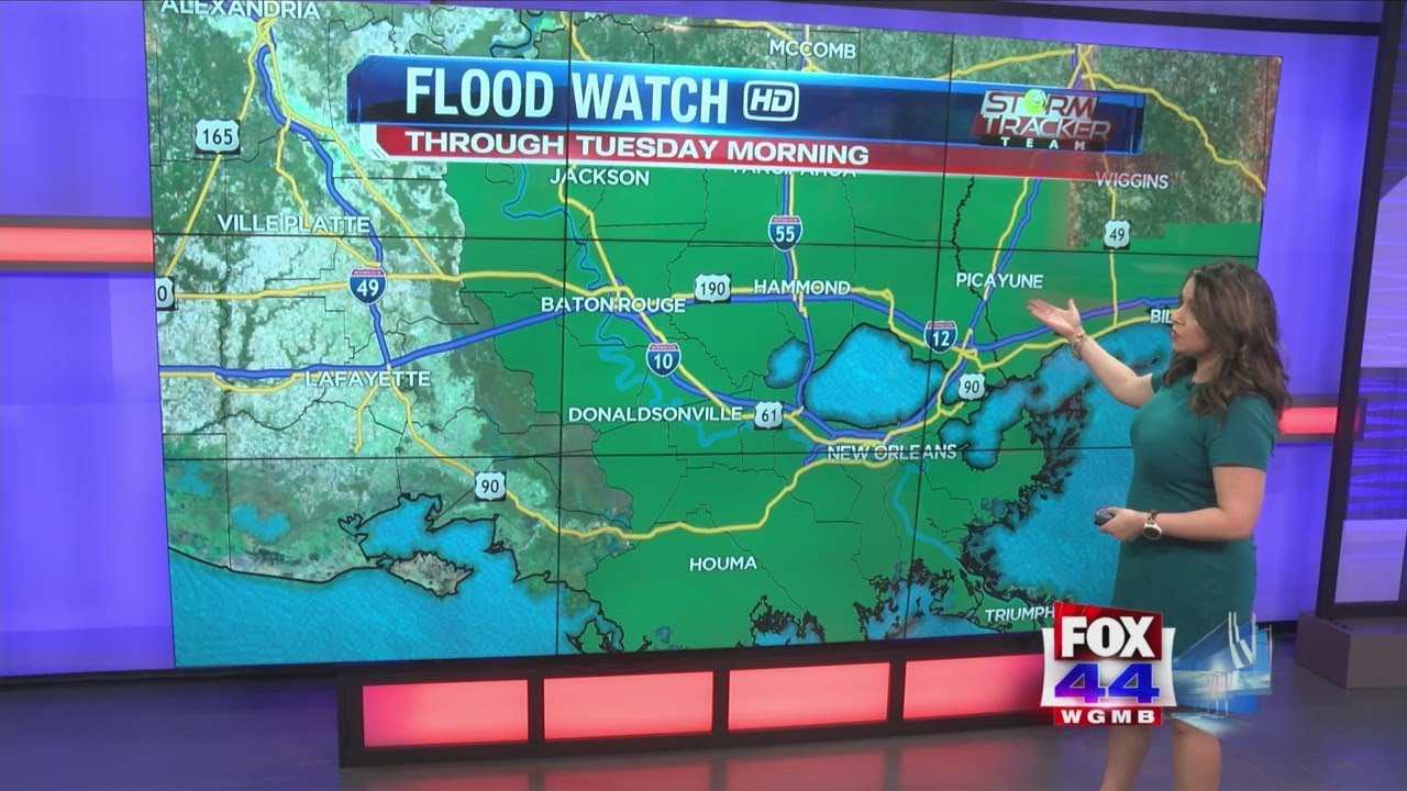 StormTracker Morning Forecast (7:30 AM 6/4/20) - YouTube