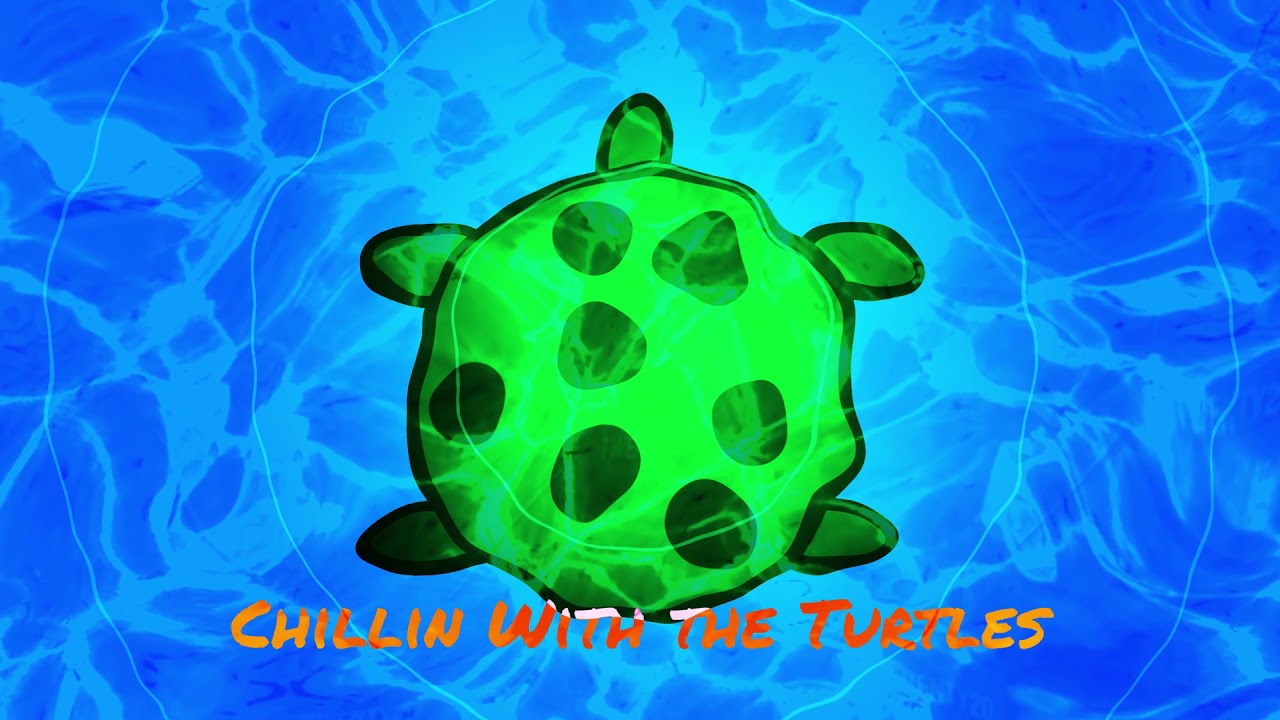 Chillin with the Turtles - Original Song - YouTube