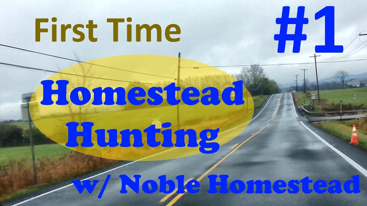 Our Forever Homestead Hunt... The First Place We Looked At - YouTube