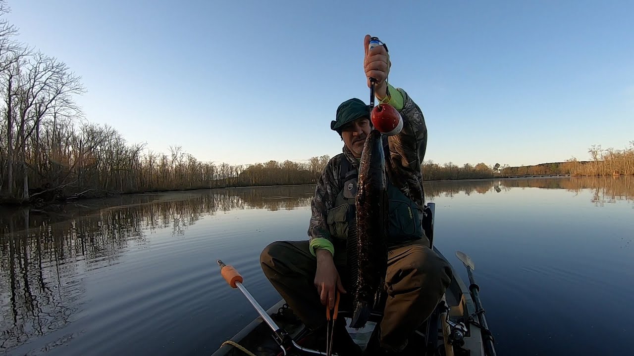 Dinasaur Prehistoric Northern Snakehead - YouTube