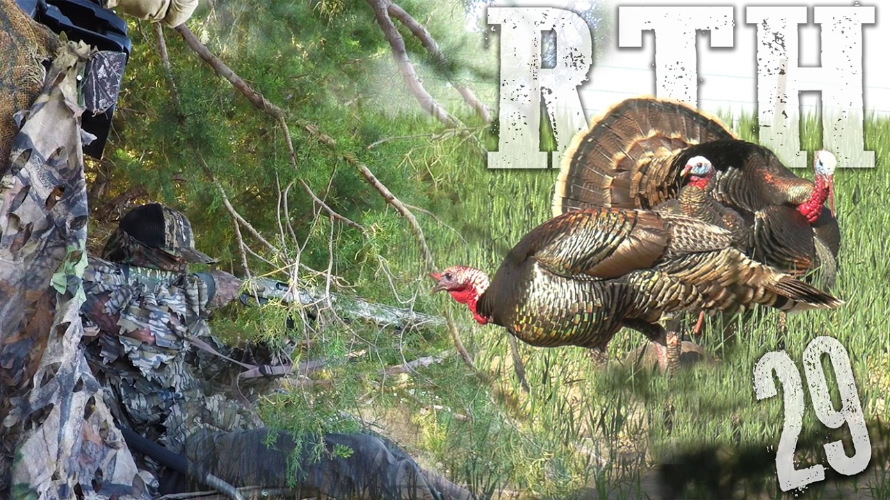 BEST SETUP in Turkey hunting!? Western Turkey Hunting - YouTube