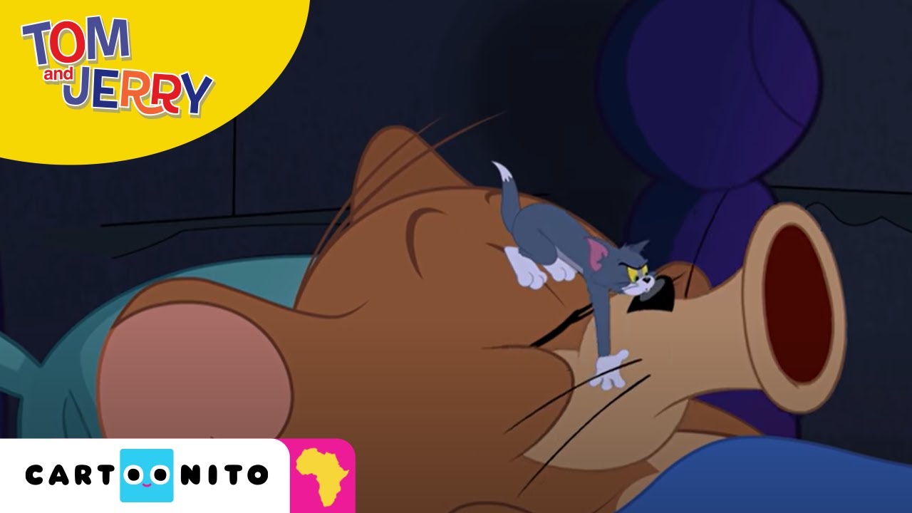 Tom and Jerry: Tiny Tom | Cartoonito Africa - YouTube