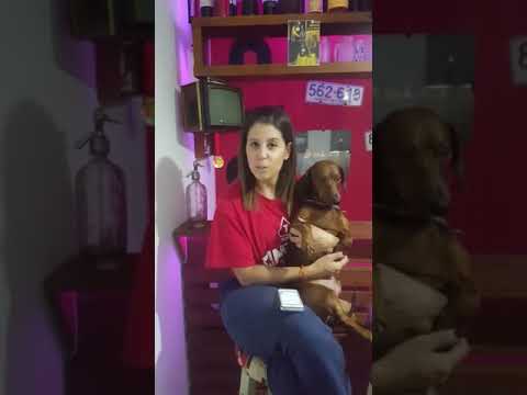 Peke Sander - Todos por Andrés