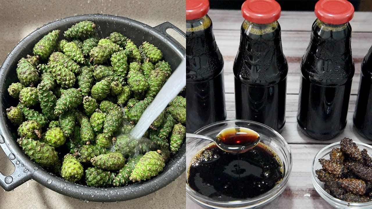 Sirop din conuri de pin facut la rece.Minunat în eliminarea mucusului ...