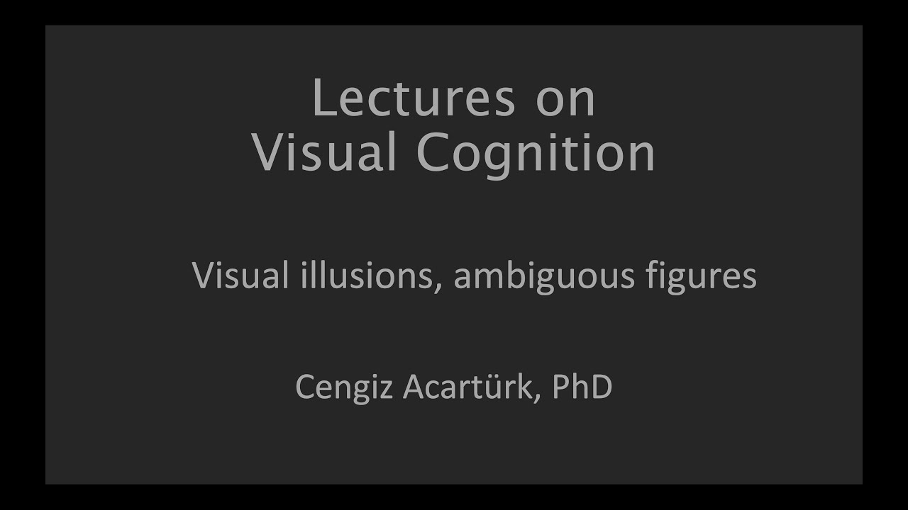 Lectures on Visual Cognition - Visual Illusions, Ambiguous Figures ...