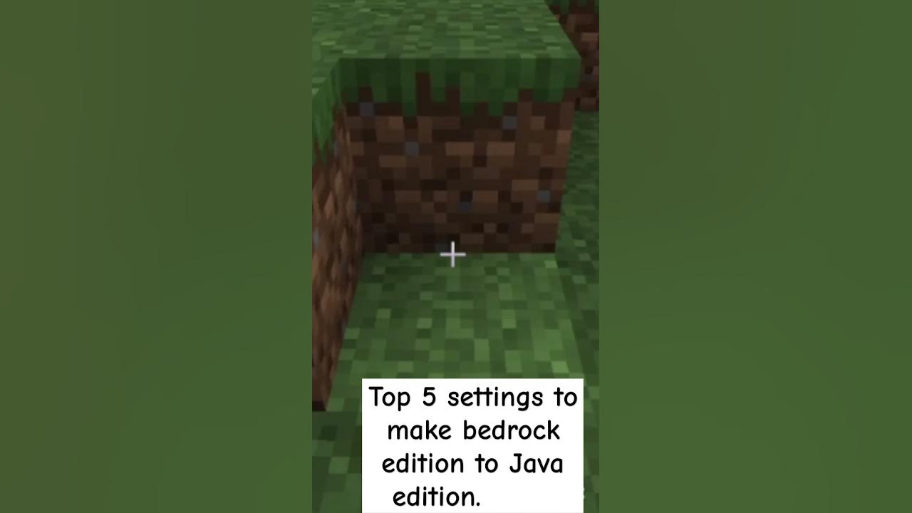 Top 5 settings to make bedrock edition to Java edition in Minecraft # ...