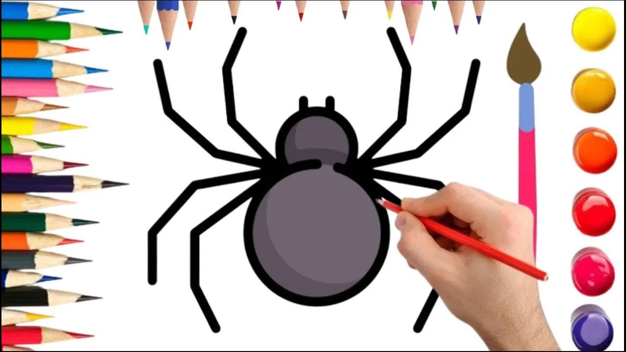Cute Spider Drawing For Kids || 🕷 Drawing, Painting & Coloring For Kids ...