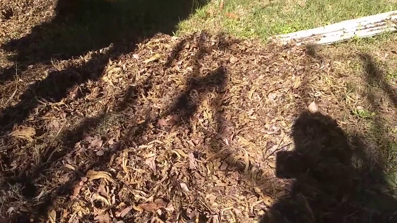 Como hacer una pila de compost - Parte 2, empiezan las capas - YouTube