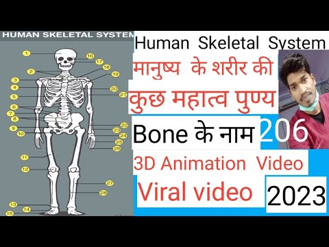 Human Skeleton System Most Important Bone ke nam @Indian medical ...