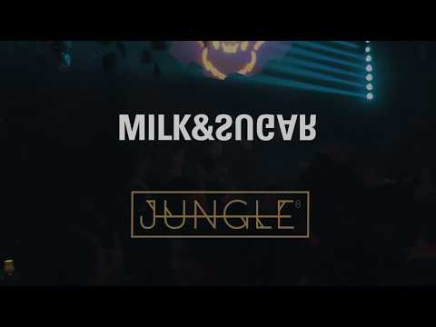 JUNGLE 8 - MILK & SUGAR PERFORMANCE