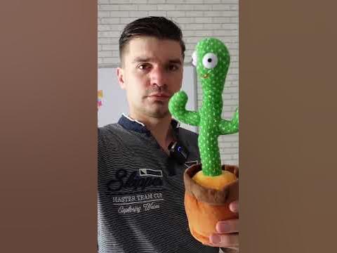 Танцующий говорящий кактус. Игрушка повторюшка. Dancing cactus #Shorts ...