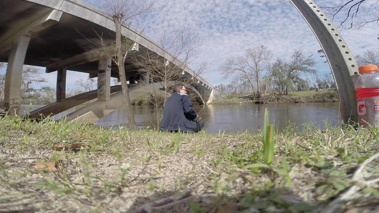 Fishing the chipola river - YouTube
