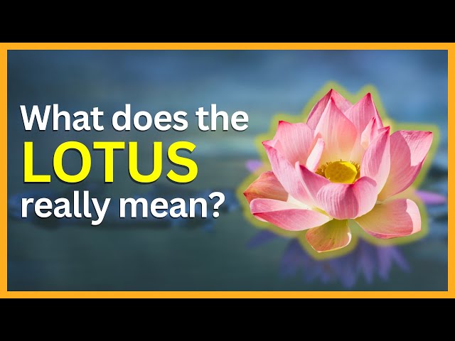 Hindu Symbols Lotus Meaning