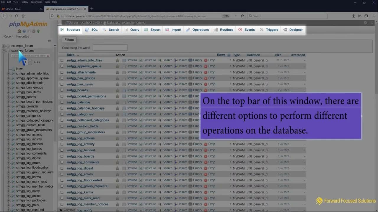 How to export database table via phpMyAdmin in cPanel with Forward Focused Solutions - YouTube