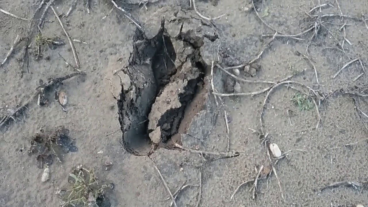 Deep mud part 1 - YouTube