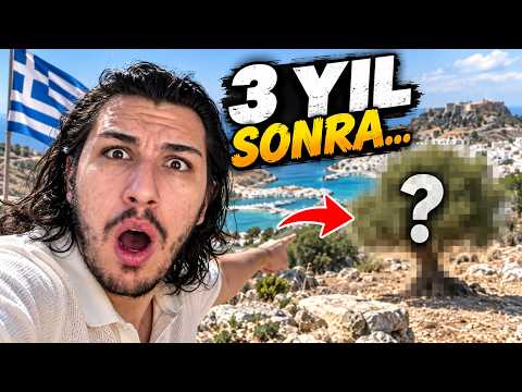 YUNANİSTANDAKİ ZEYTİN AĞACINA BAKTIM!