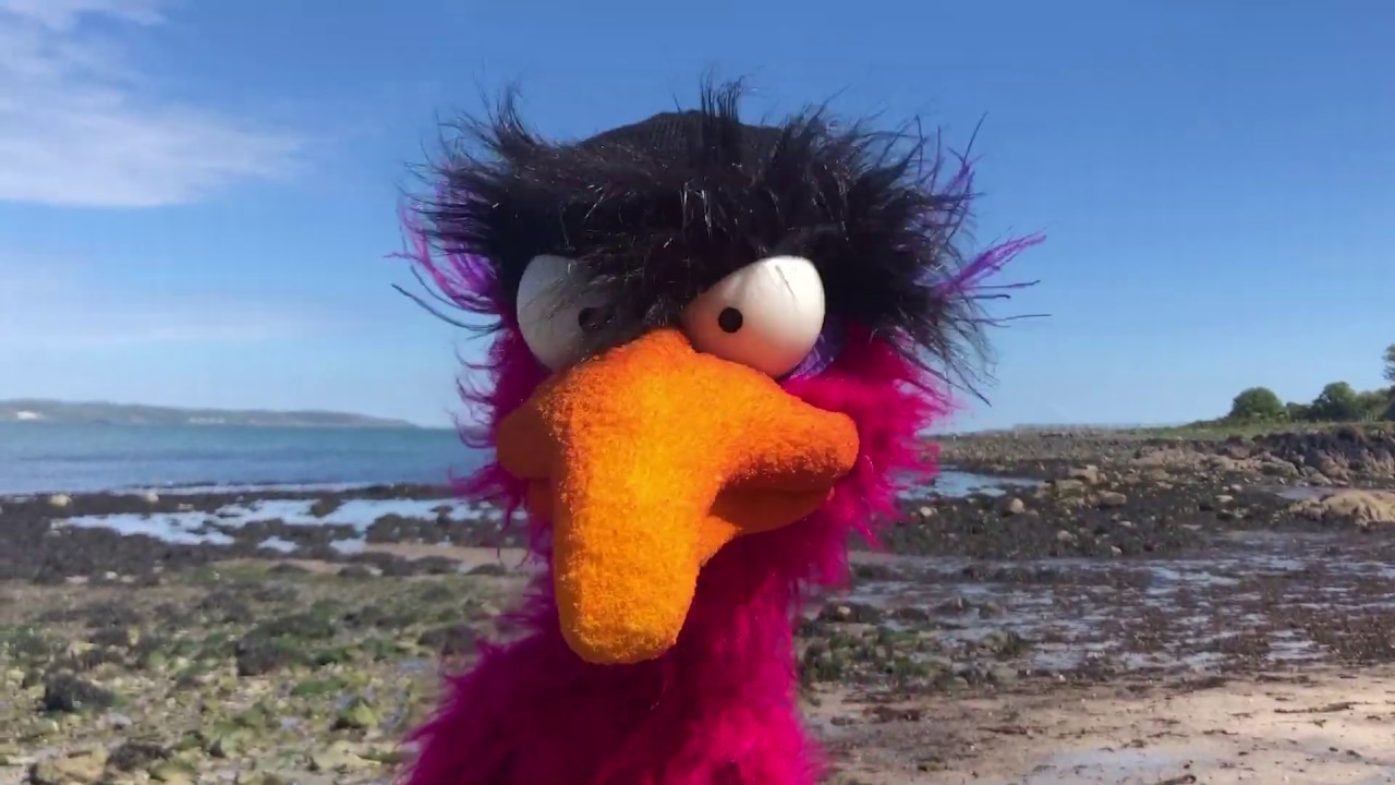Absolutely ragin'! Litter-loathing puppet tackles marine litter - YouTube