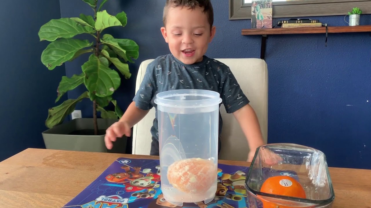 Orange Buoyancy Science Experiment 🍊 - YouTube