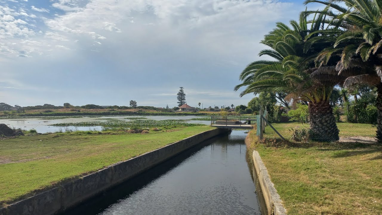Diep River where it flows into Little Princess Vlei between Heathfield ...