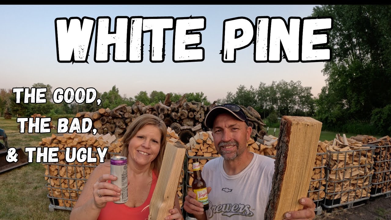 White Pine Firewood 🌲🔥 - YouTube