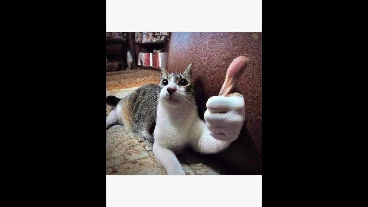 lethal company everlong meme #1123123 - YouTube