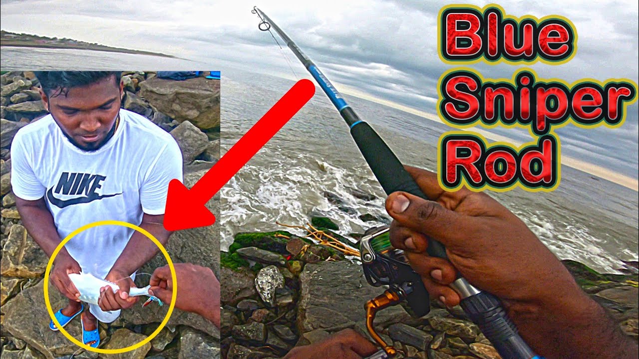 நம் புதிய Blue Sniper Rod💪🏽 இல் பிடித்த மீன்கள் என்ன - How Big Fish can ...