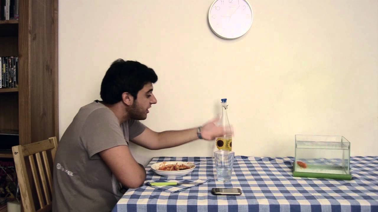 My Dinner With Goldfish - YouTube