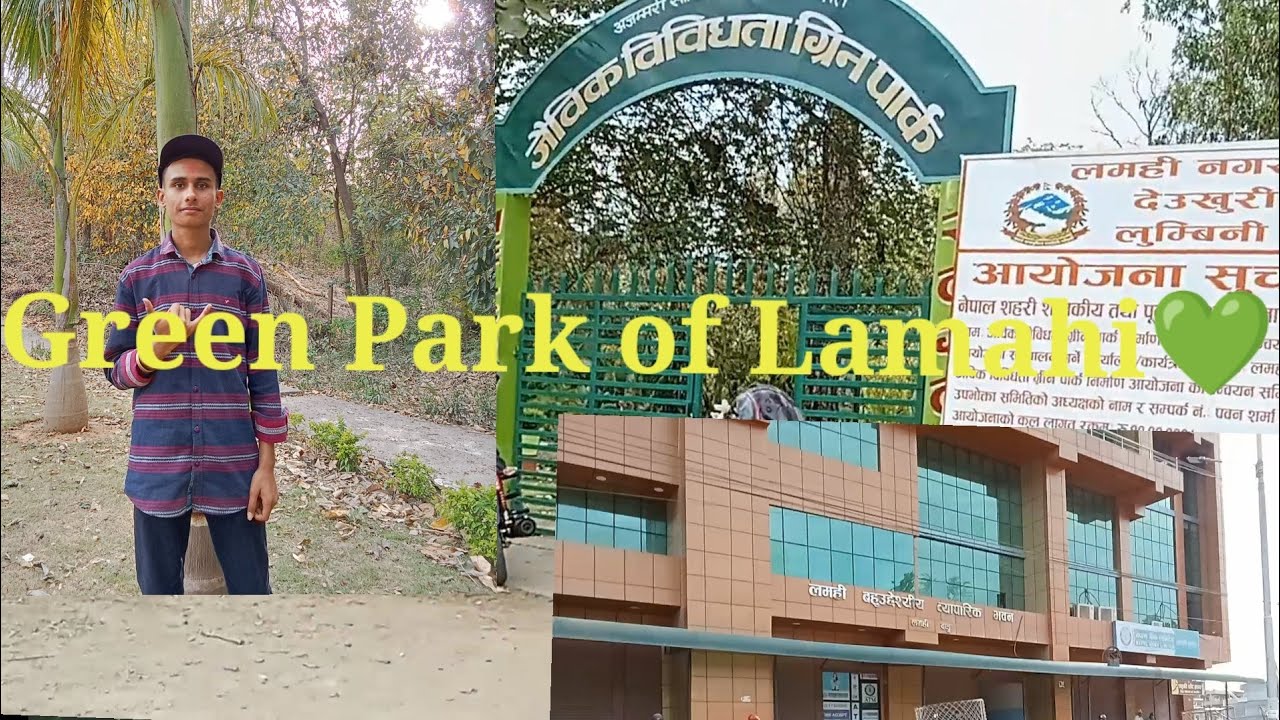 Exploring in lamahi bazar and green park - YouTube