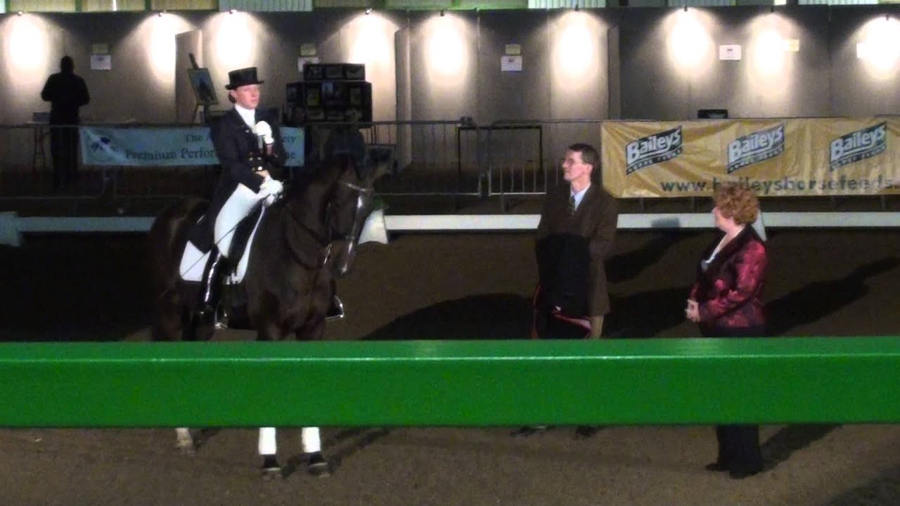 BBSH Stallion Event 2013 - Diamond Hit - YouTube