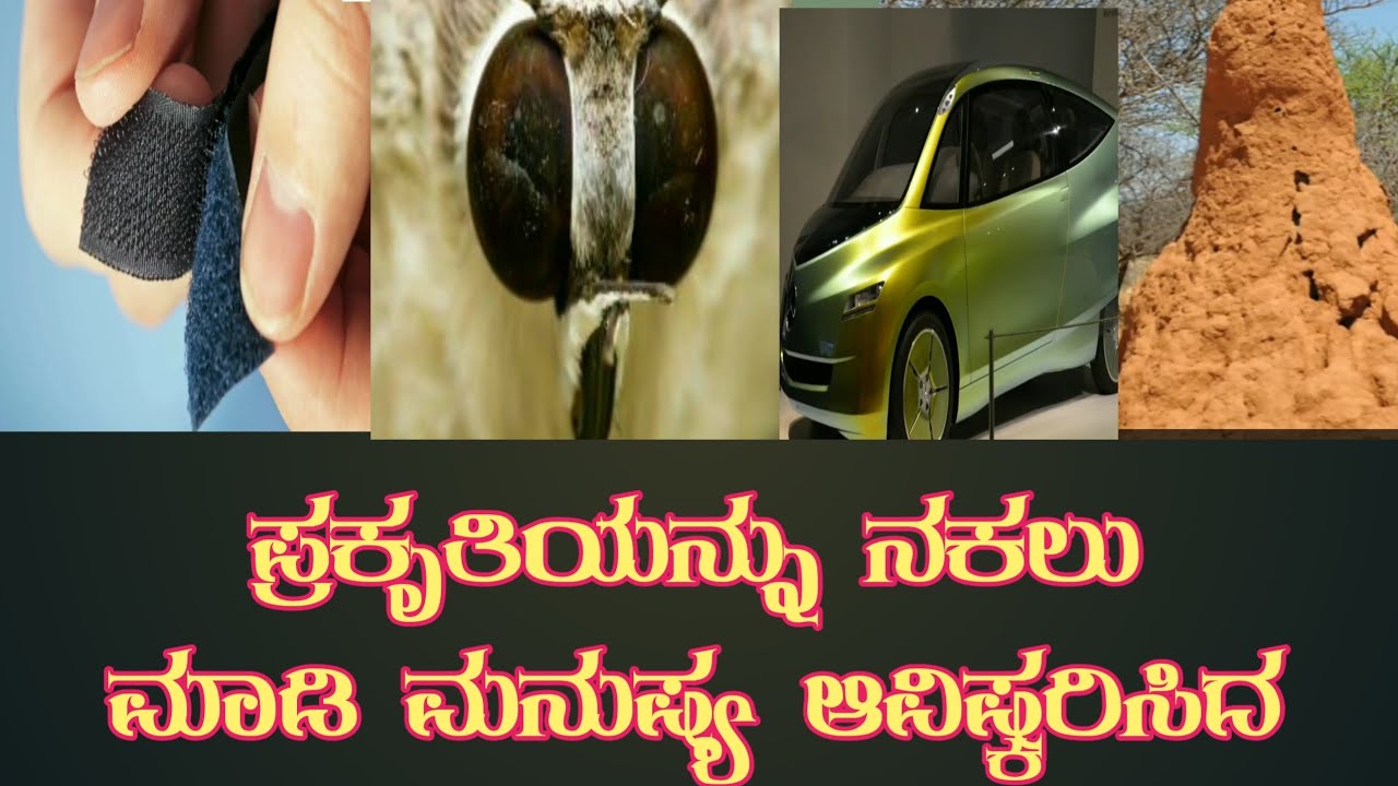 Top 15 Nature-inspired discoveries and inventions in Kannada ...