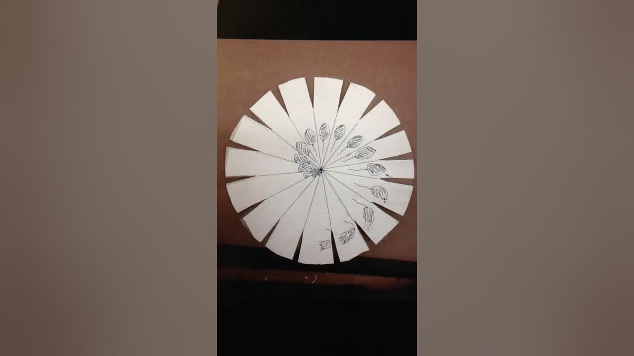 Mr. Fenner's example phenakistoscope - YouTube