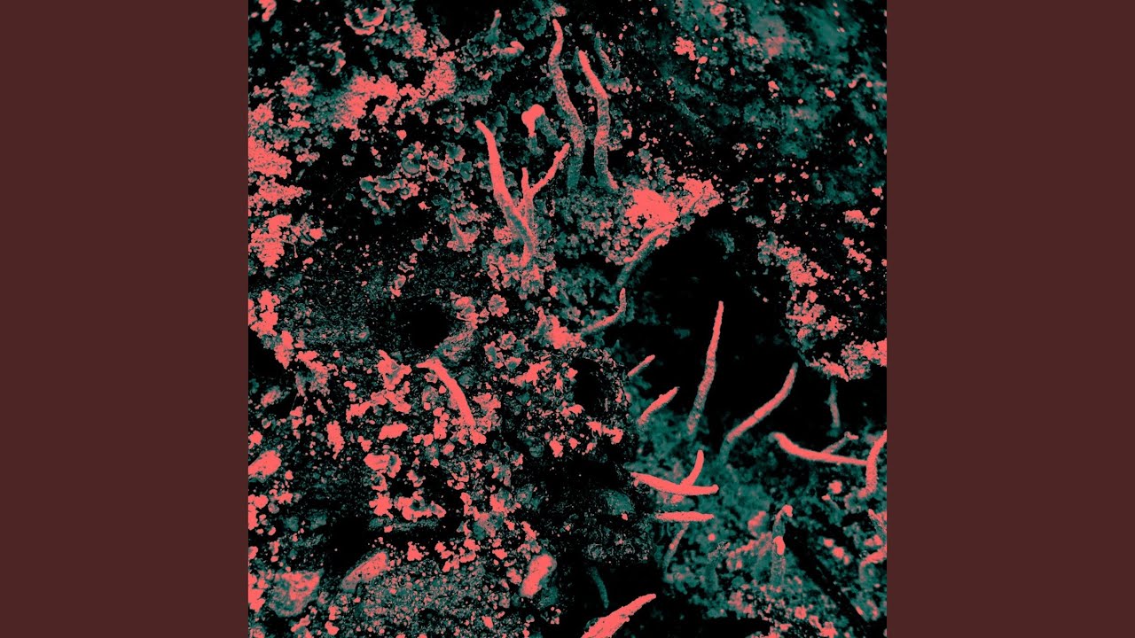 Has Anything Changed - YouTube