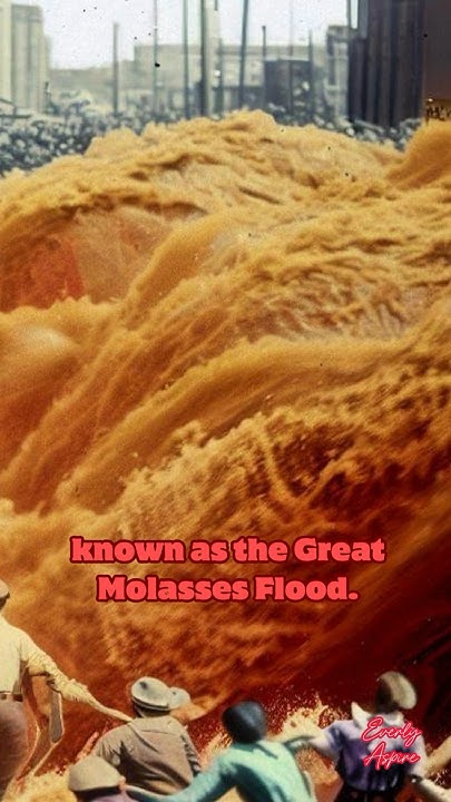The Great Molasses Flood #shorts #interestingfacts #facts #shortvideo # ...