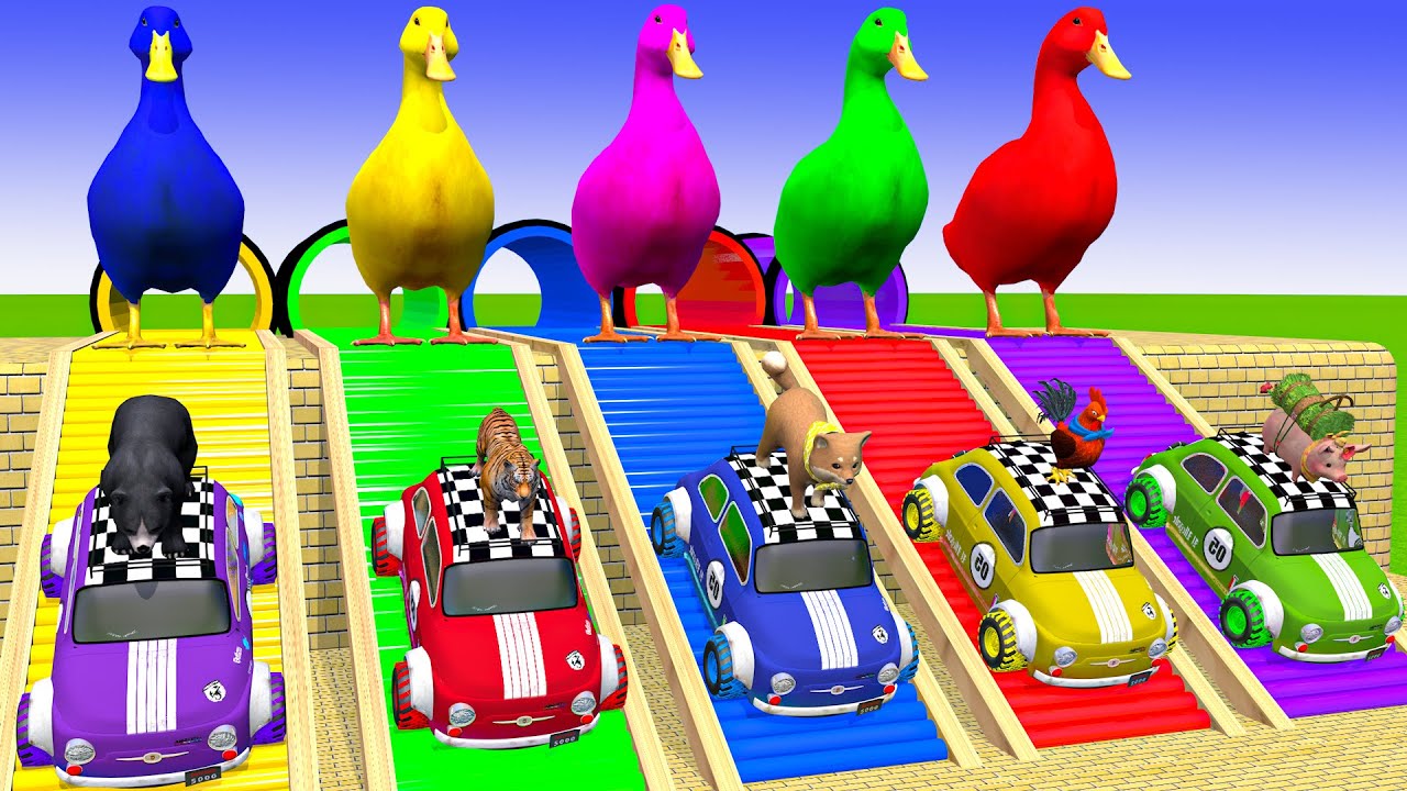 Long Slide Game With Cow Elephant Gorilla Hippopotamus Tiger - 3d Animal Game - Funny 3d Animals ...