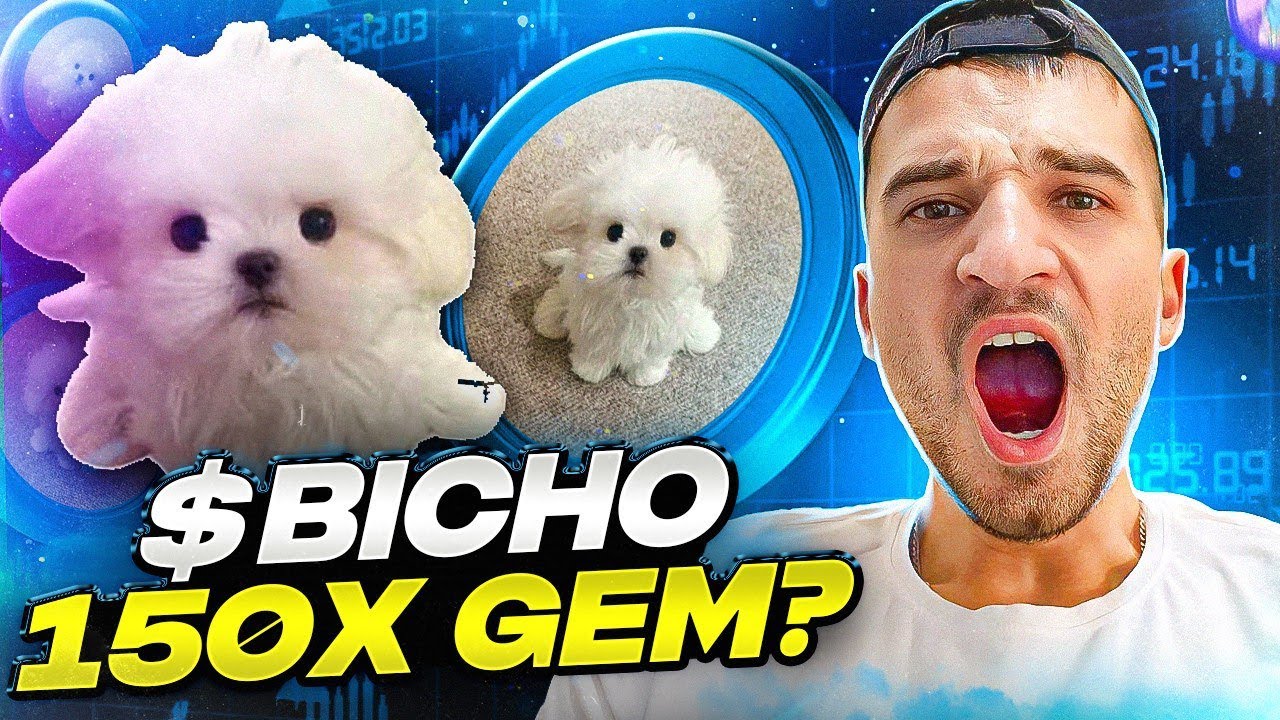 🚀Bicho-The Cutest Little Fluff Ball on Solana | 100x Incoming🚀 - YouTube