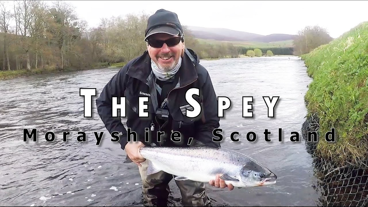 River Spey Scotland Spring Salmon at Tulchan 2018 - YouTube