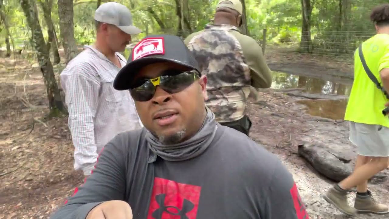 Wild Hog Hunting in Florida With Dogs! - YouTube