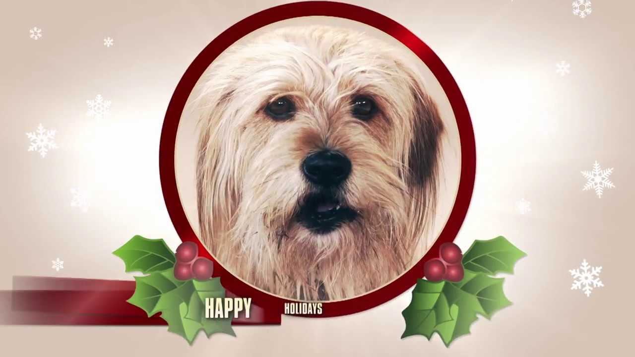 ANCHORMAN 2: THE LEGEND CONTINUES - "Baxter Holiday Greeting" - YouTube