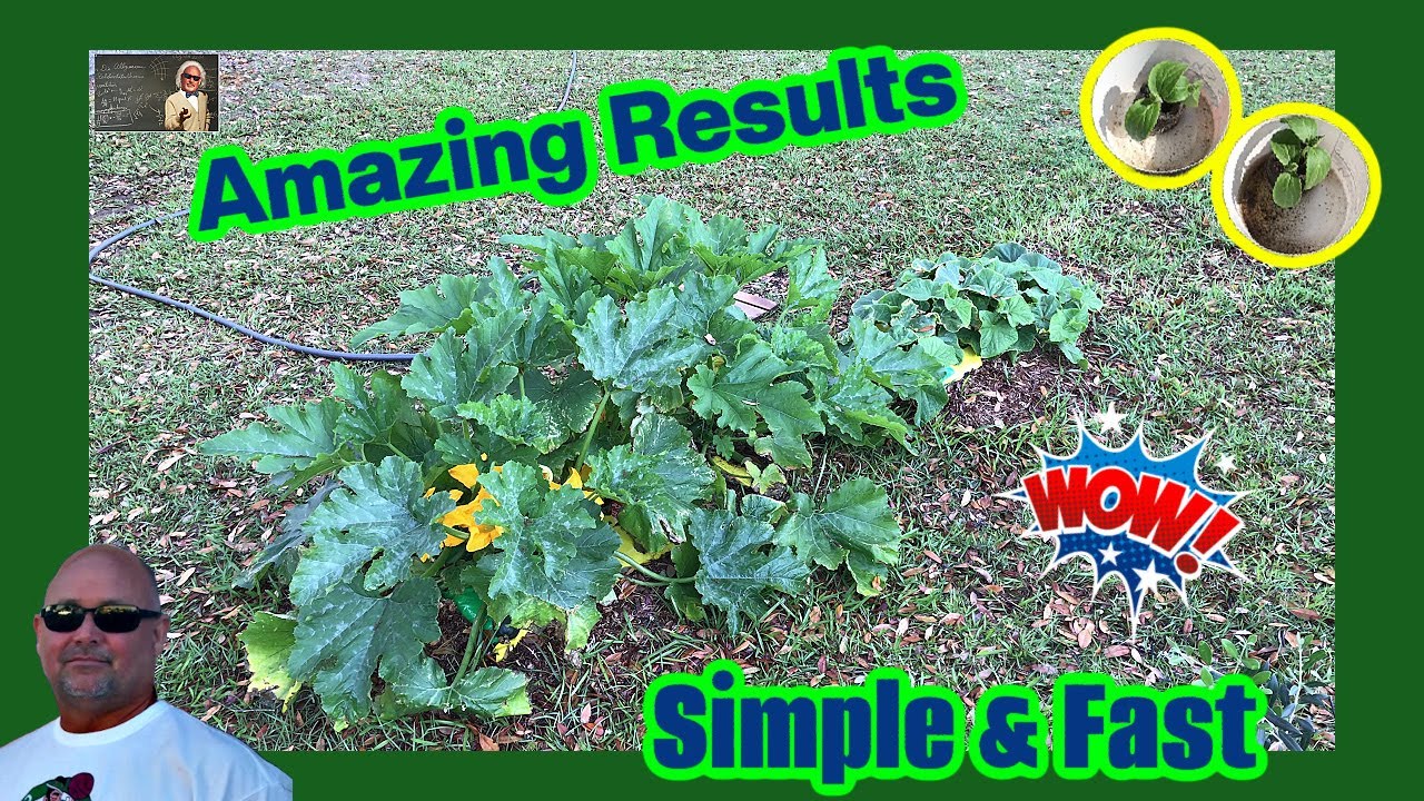 Totally AMAZING! The Most FOOL PROOF Method To Grow a Small GARDEN ...