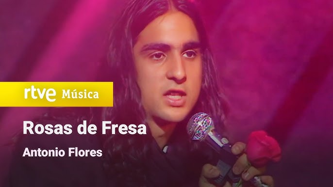 Fresas Y Flores Hd Rosas – Flores Y Fresas